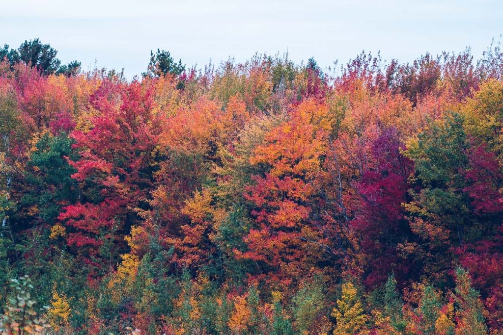 Visiter le Canada en automne : 4 idées d’activités – Salut Canada